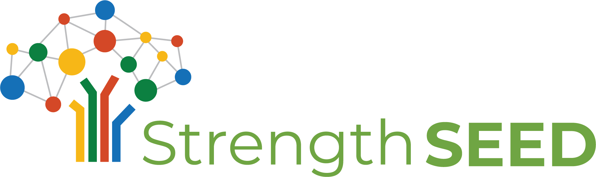Self Assessment – Strength SEED